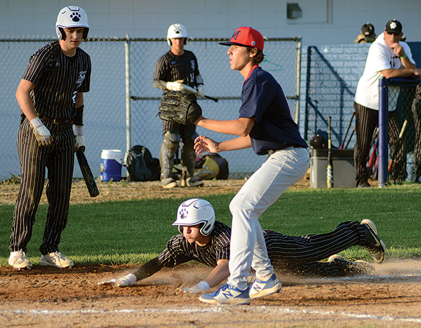 No. 9 Pointers storm past Bobcats, 12-1 | News, Sports, Jobs - Times ...
